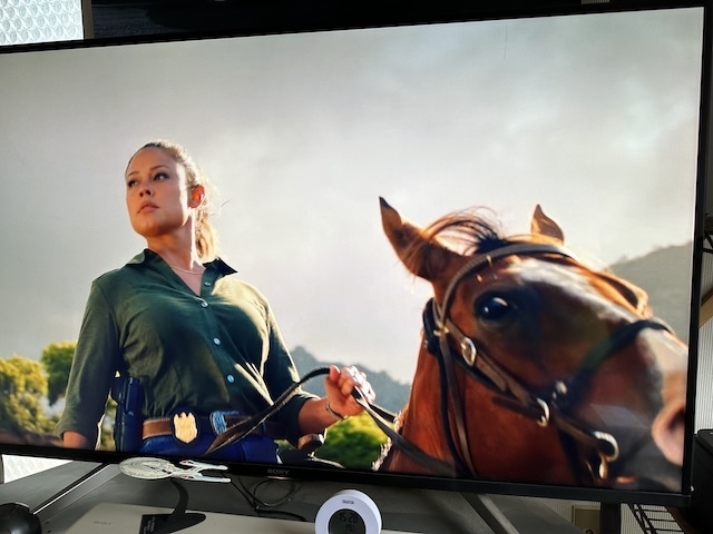 「NCIS HAWAII」: けいつ〜の今日も一日楽しかった？ 〜花鳥風月を友とする〜